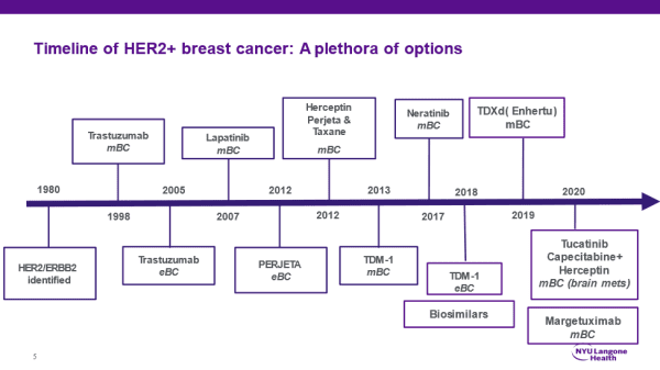 The Brightening Outlook for Patients with HER2+ Breast Cancer